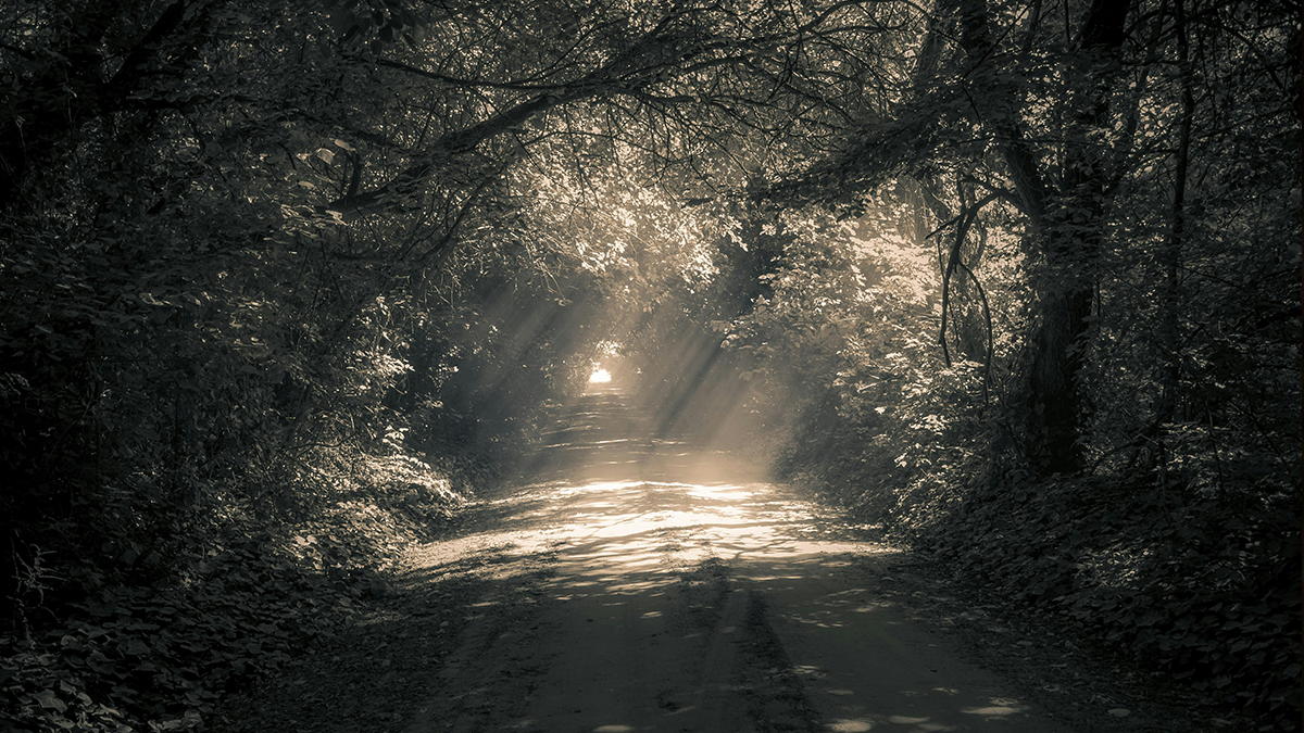 Making Sense of Praying With Faith – Witkowski Blog